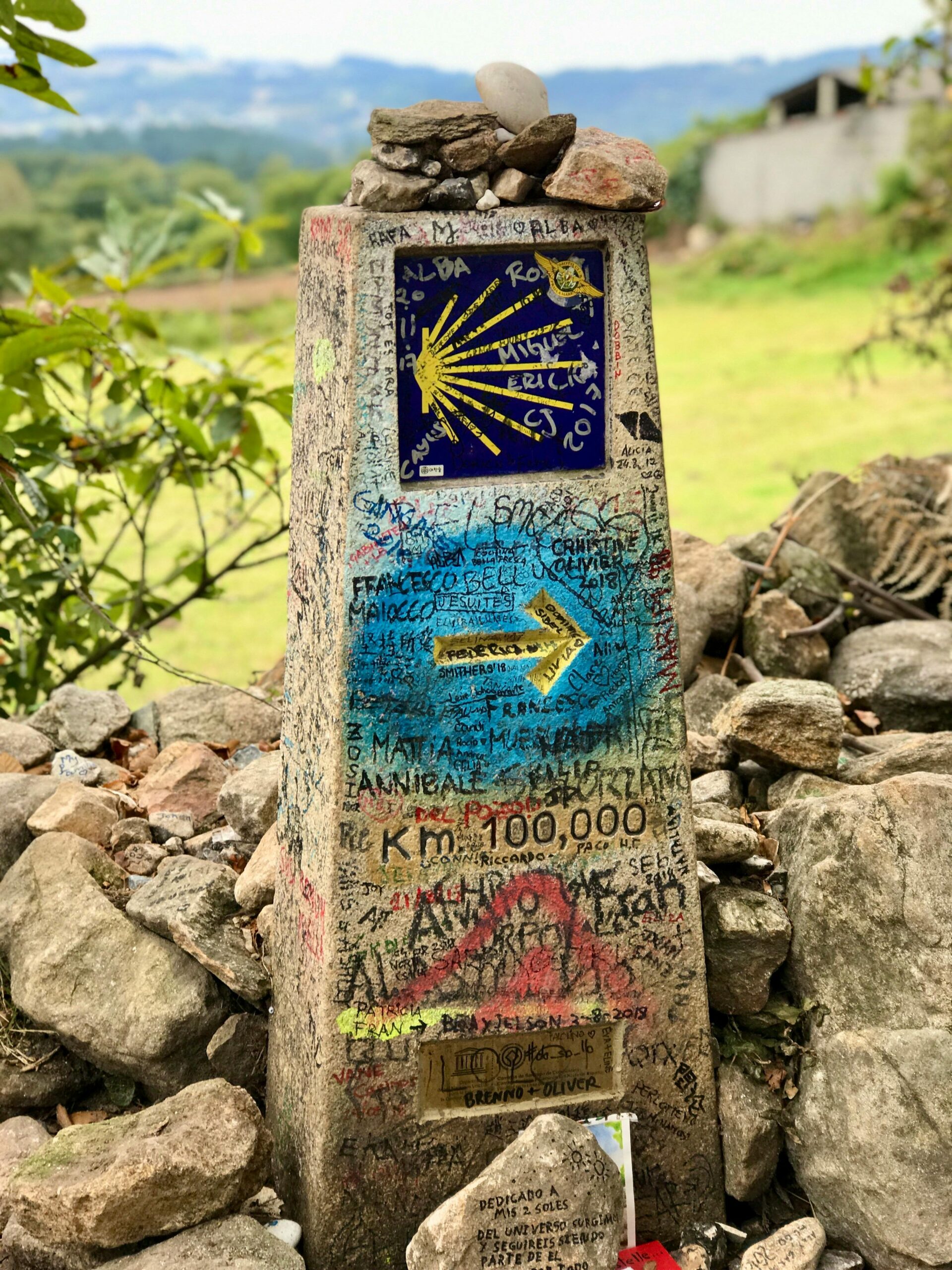 Camino Calling: A Young Adult Pilgrimage of Prayer, Purpose, and ...